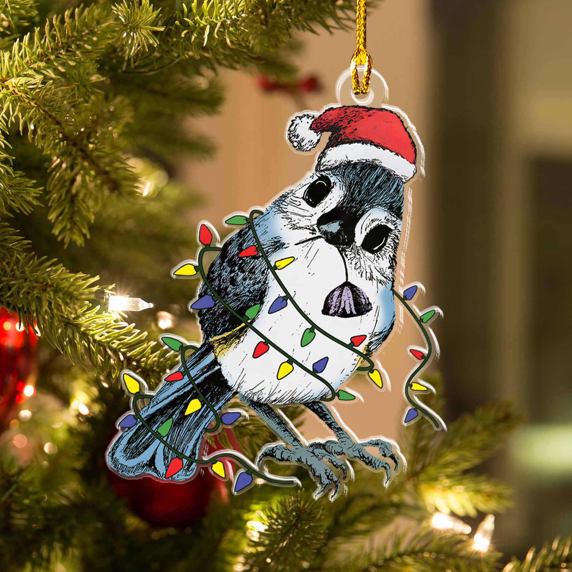 Bird Stare Ornament – BirderyTees
