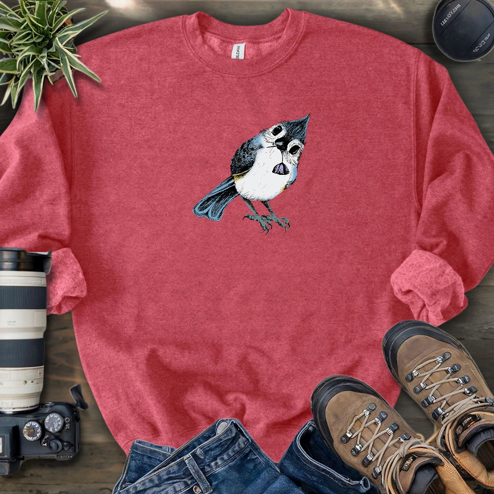 Bird Stare Sweatshirt – BirderyTees